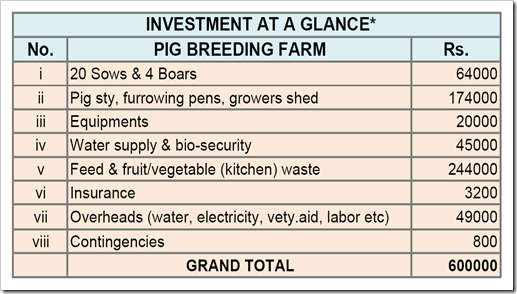 Pig Farming in India – Project Cost at a Glance and Banking Norms ...